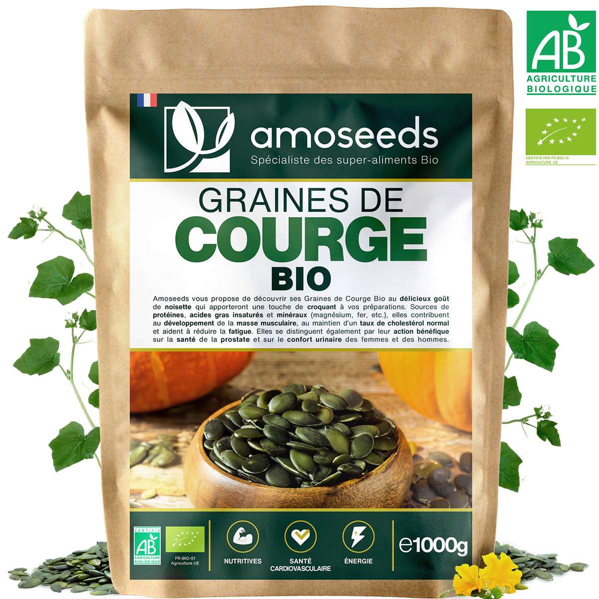 Graines de Courge Bio 1KG | Greenweez