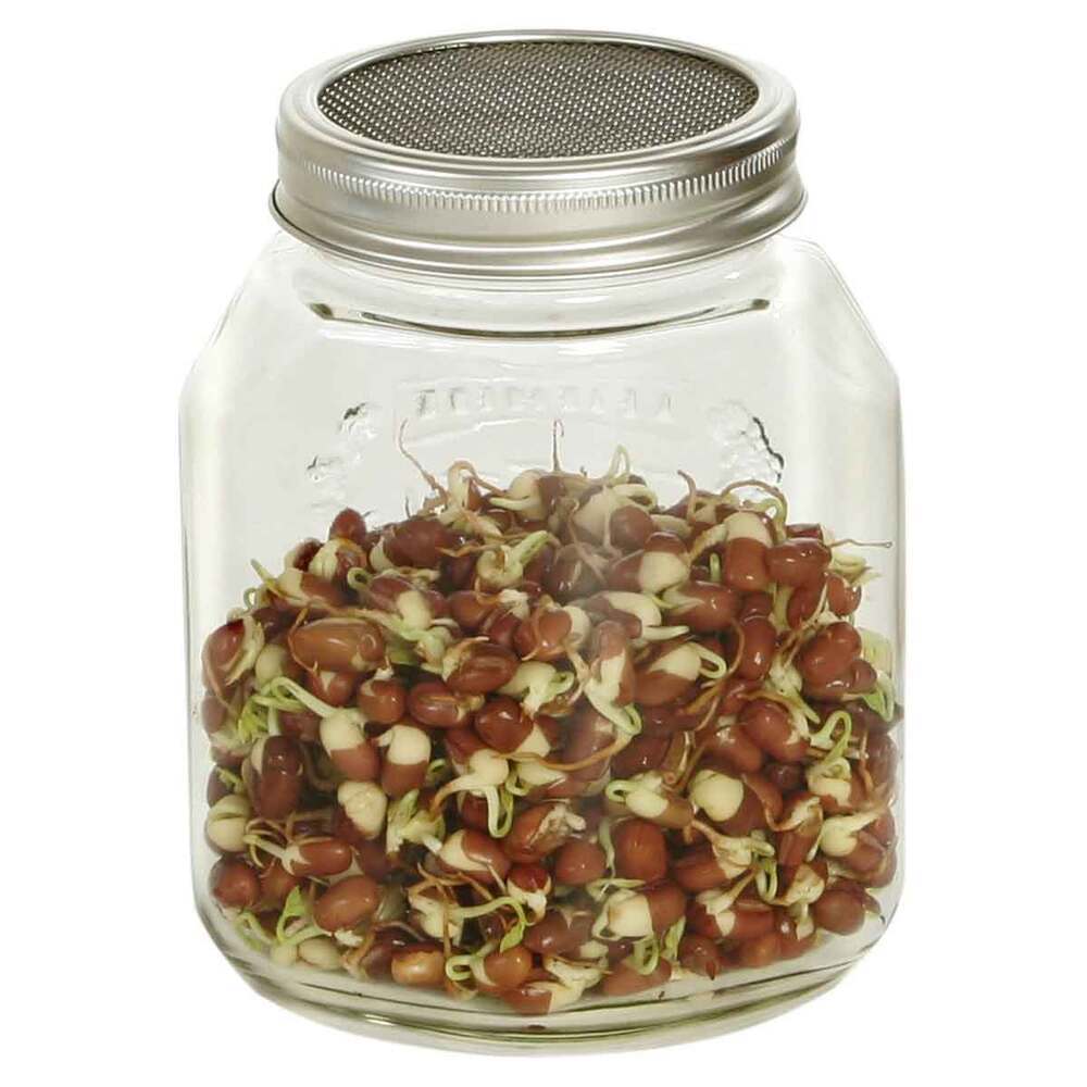 Germoir en verre 75cl sans support | Greenweez