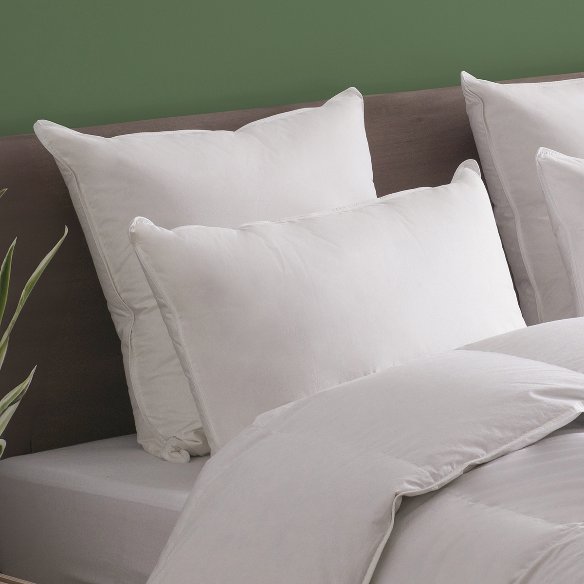 Oreiller Graine de Lin MEDIUM - DODO | Greenweez
