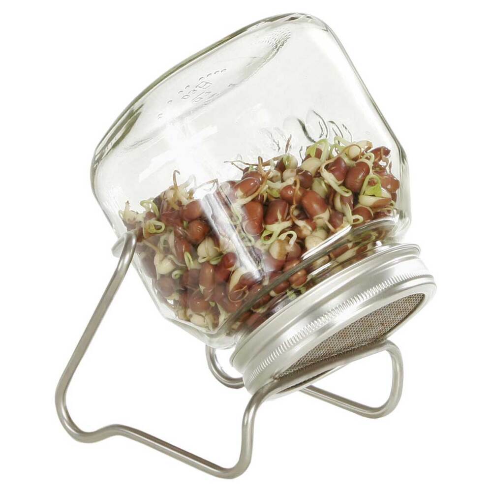 Eschenfelder Germoir en verre 75cl avec support | Greenweez