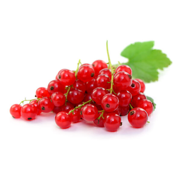 Groseilles rouges. France 125g | Greenweez