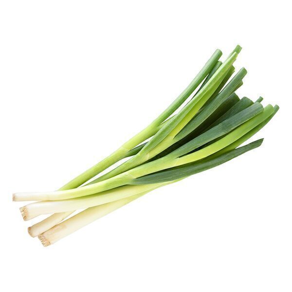 Oignon cebette blanc bio France 1botte | Greenweez