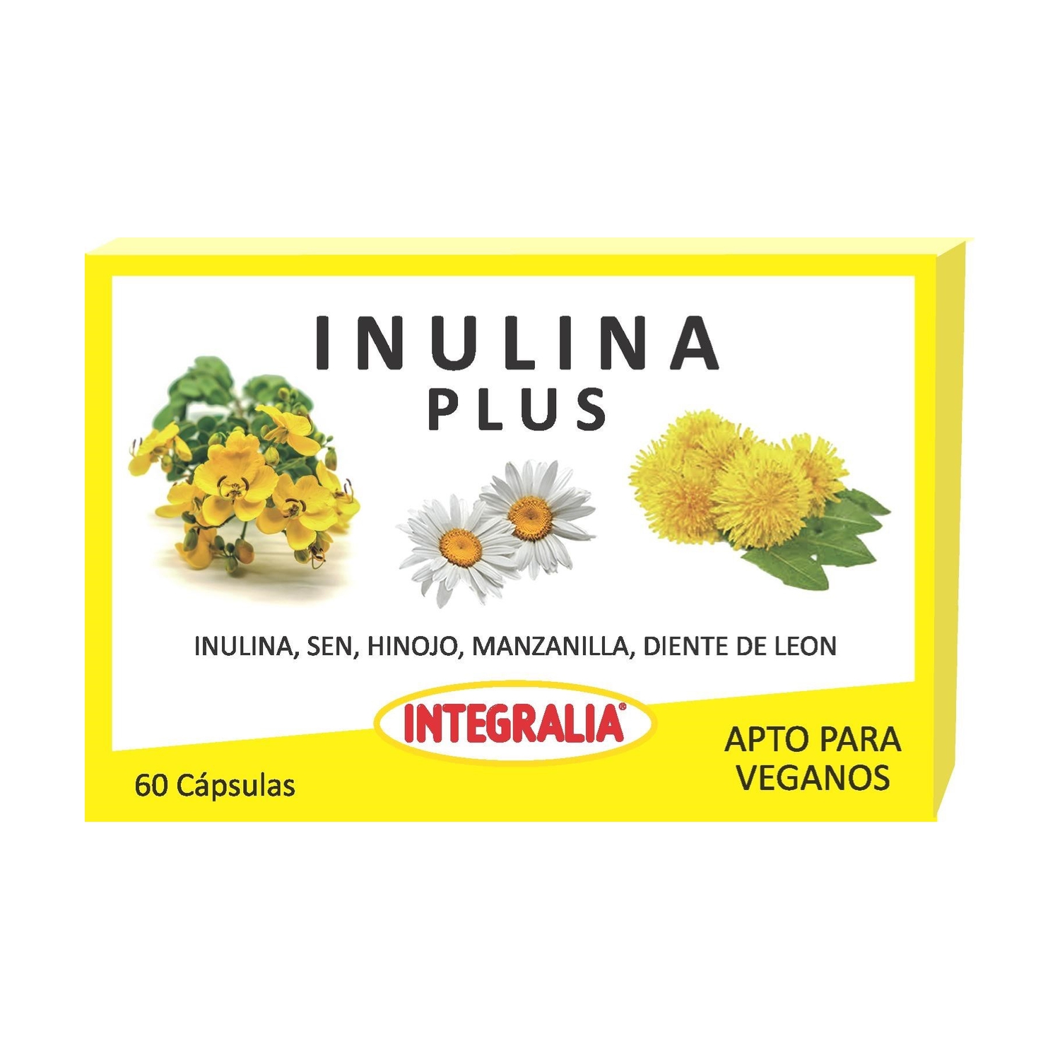 Inuline Plus 60 capsules | Greenweez