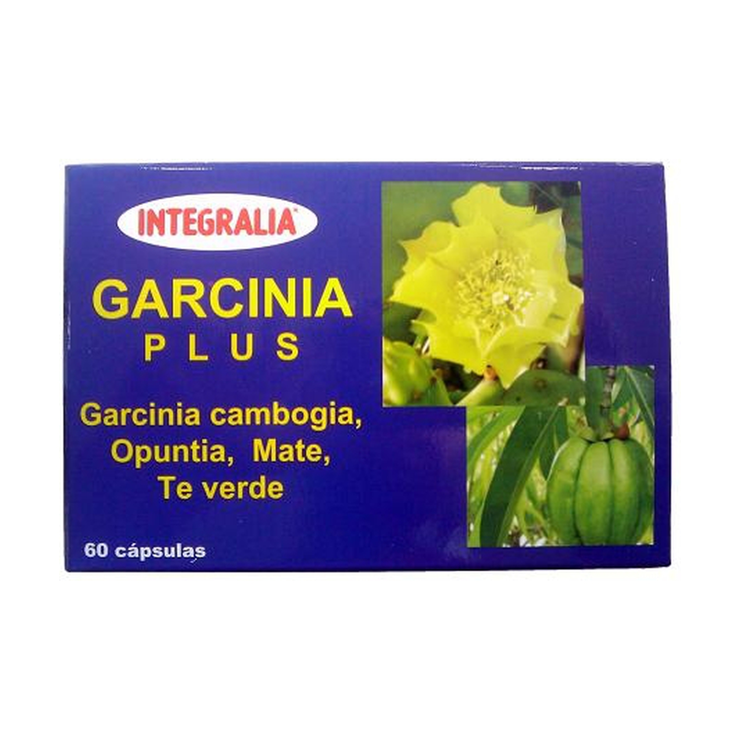 Garcinia Plus 60 capsules | Greenweez