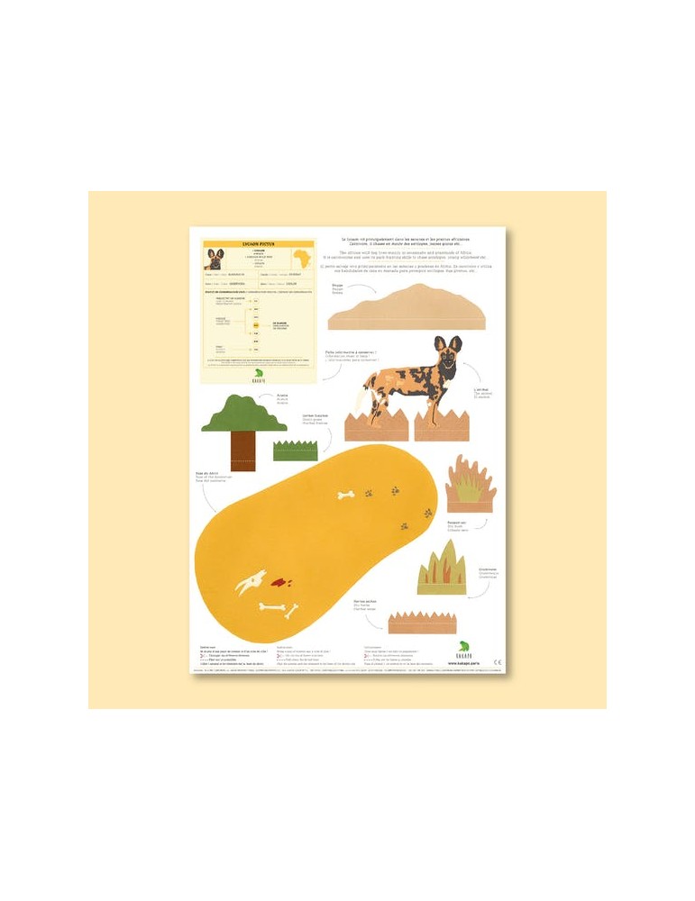Le lycaon et son habitat | Greenweez