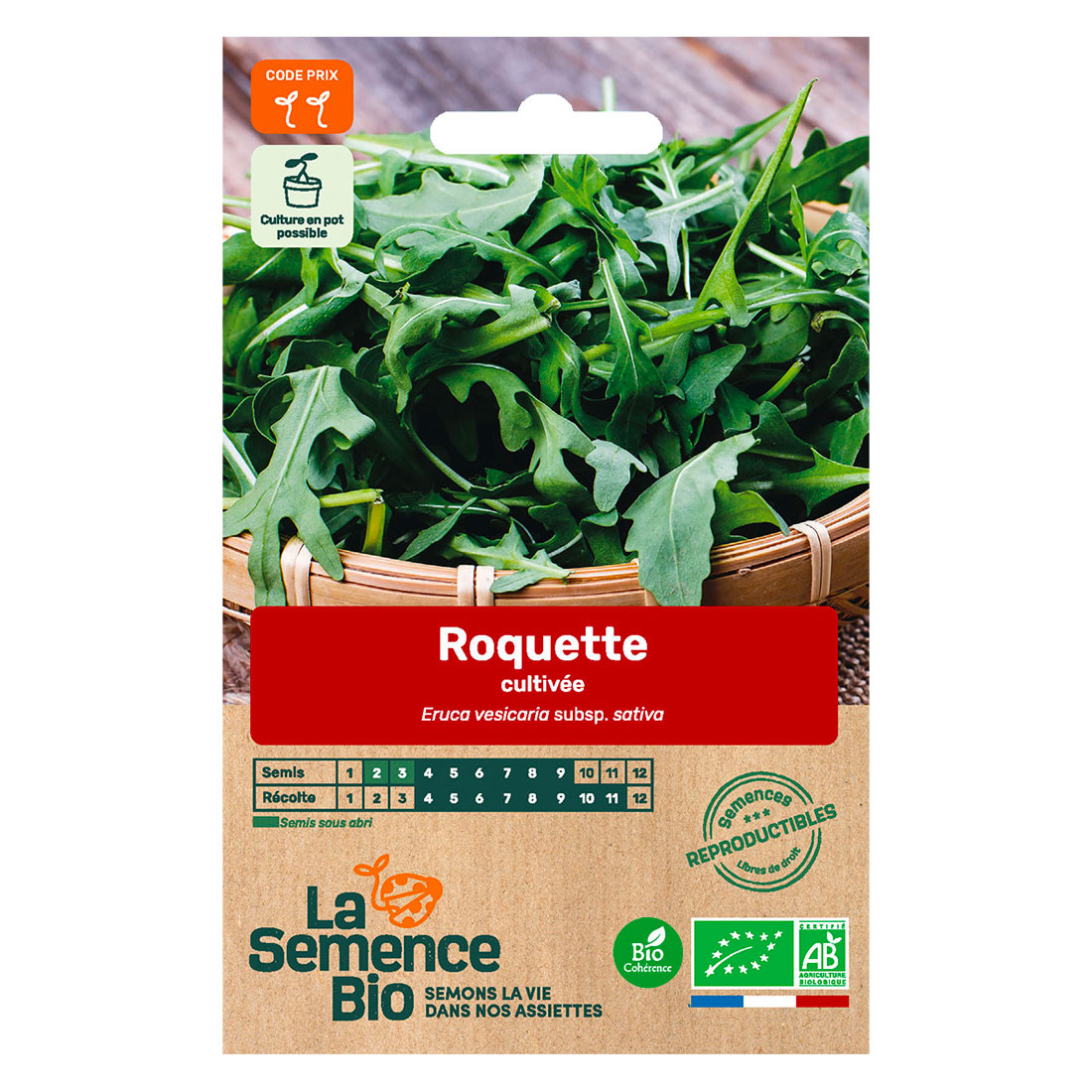 Graines de roquette cultivée bio | Greenweez
