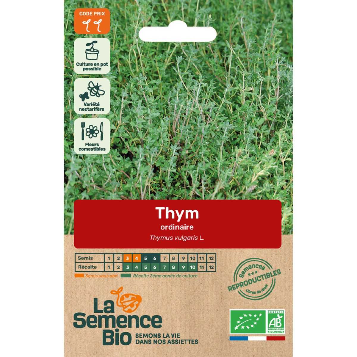 La Semence Bio Graines de thym ordinaire à semer bio | Greenweez