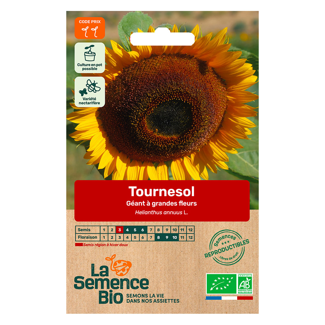Graines de tournesol géant bio | Greenweez