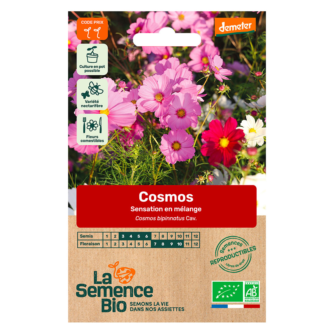 Graines de cosmos sensation en mélange bio | Greenweez