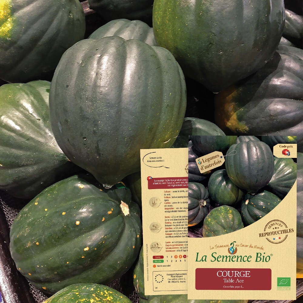 COURGE Table Ace Bio | Greenweez