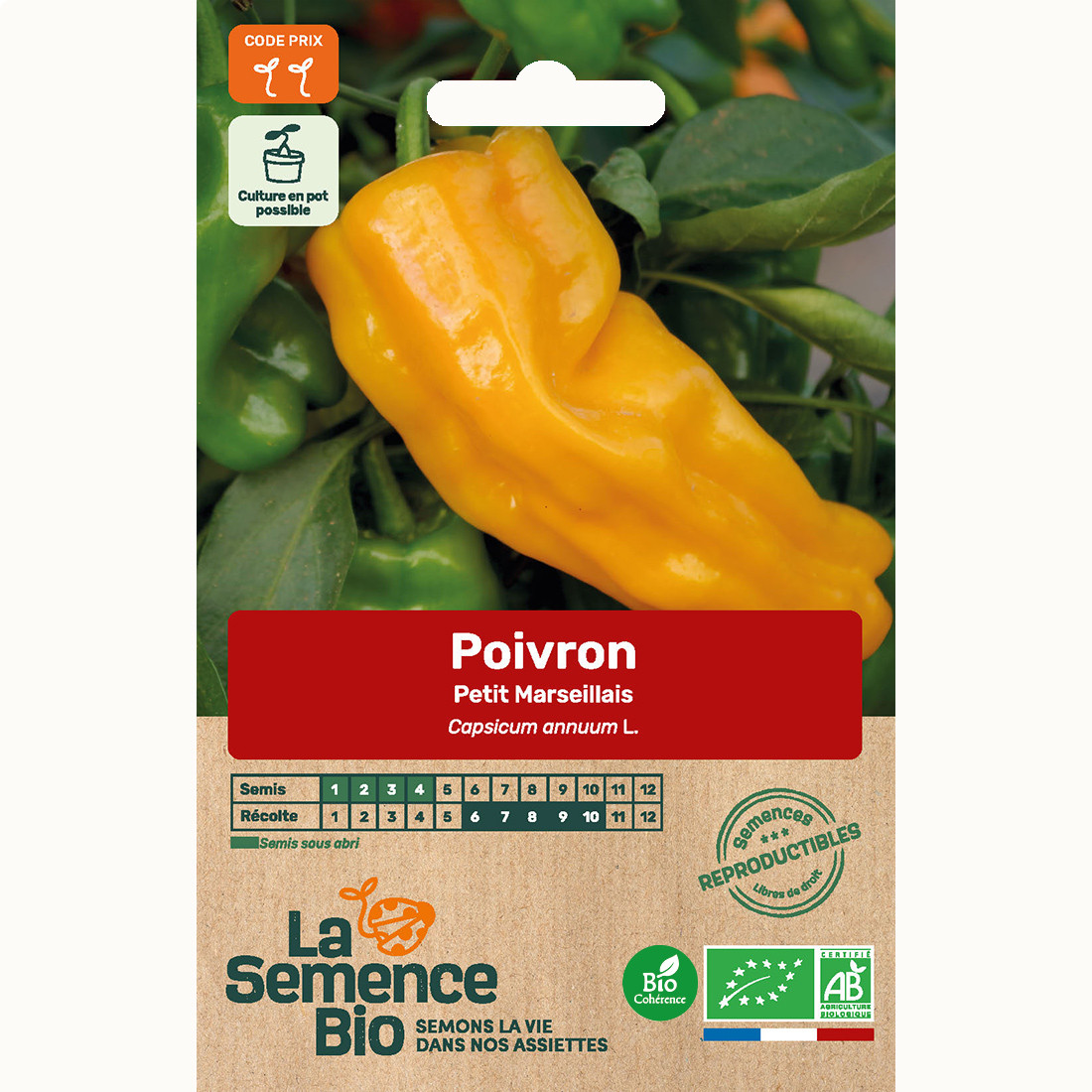 POIVRON Petit Marseillais - Graines Bio | Greenweez