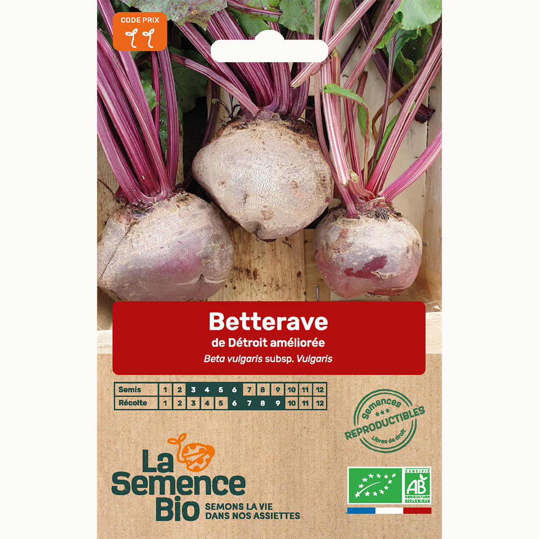 BETTERAVE de Détroit 2 - Graines Bio | Greenweez