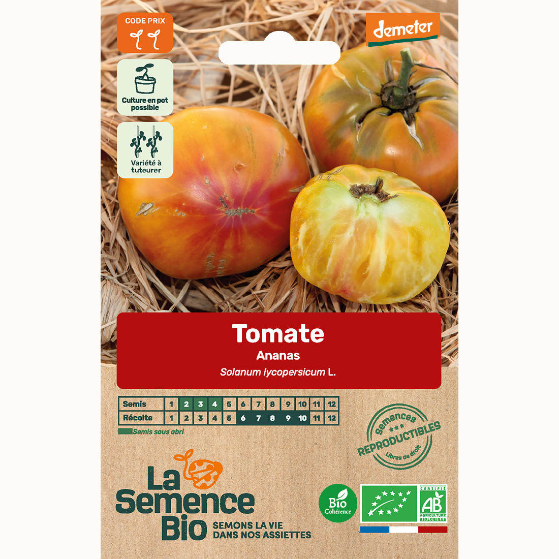 La Semence Bio TOMATE Ananas - Graines Bio | Greenweez