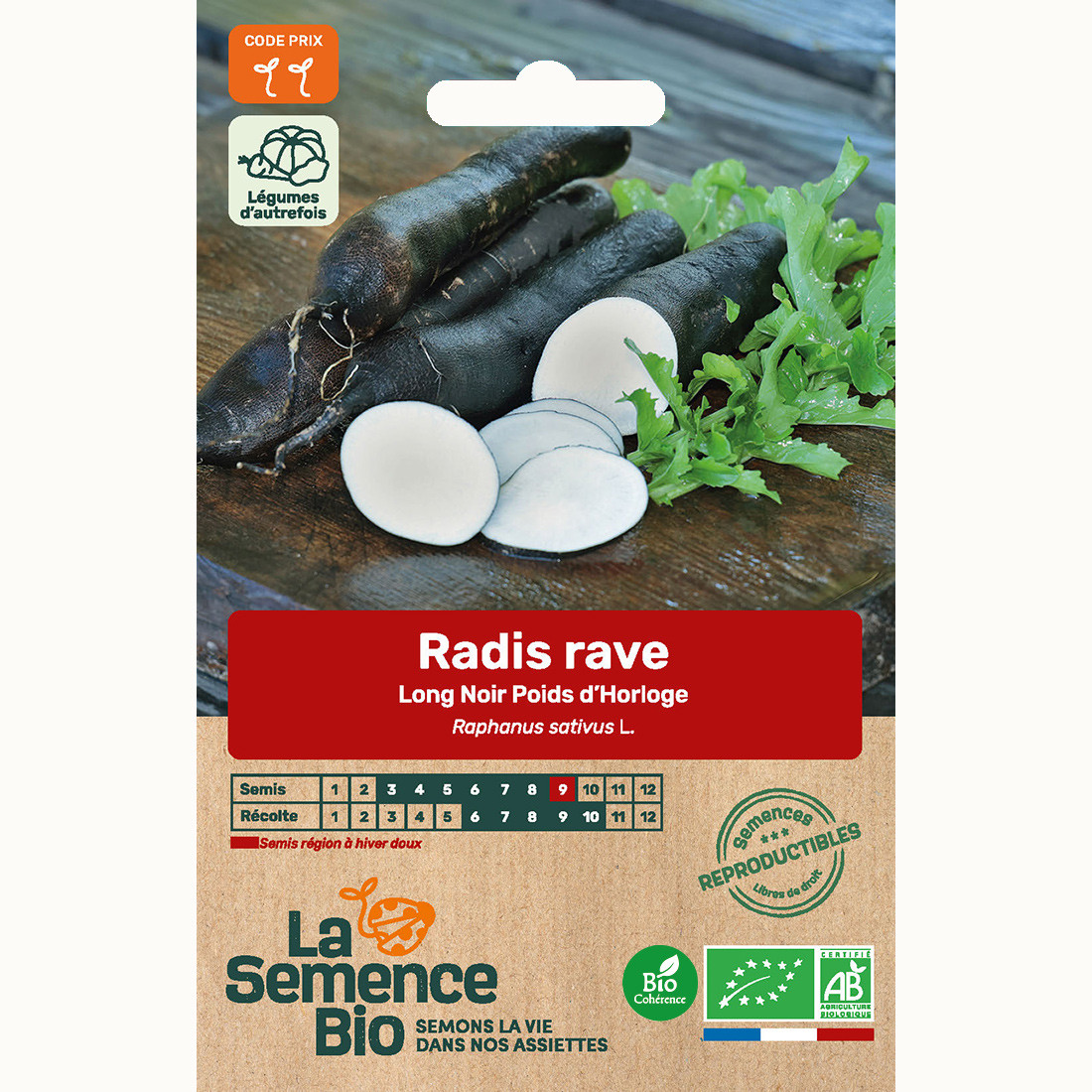 RADIS RAVE Long noir poids d'horloge - Graines Bio | Greenweez