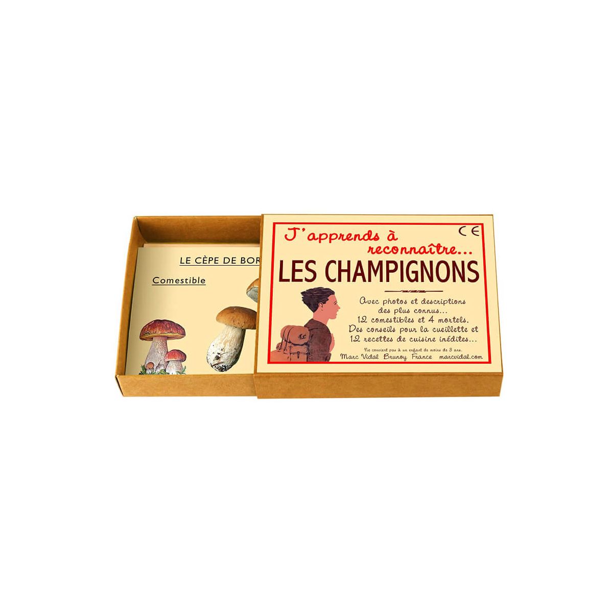 J'apprends à reconnaître les champignons | Greenweez