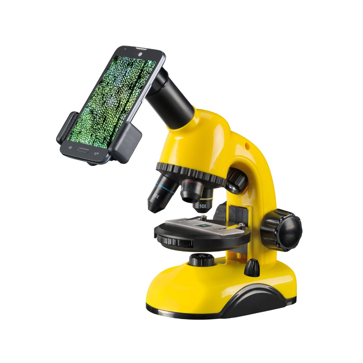 Microscope National Geographic 40x-800x | Greenweez