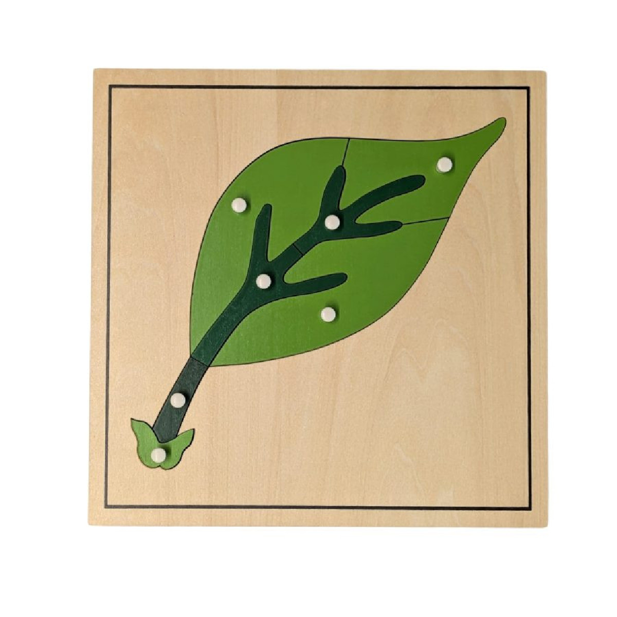 Puzzle de la feuille | Greenweez