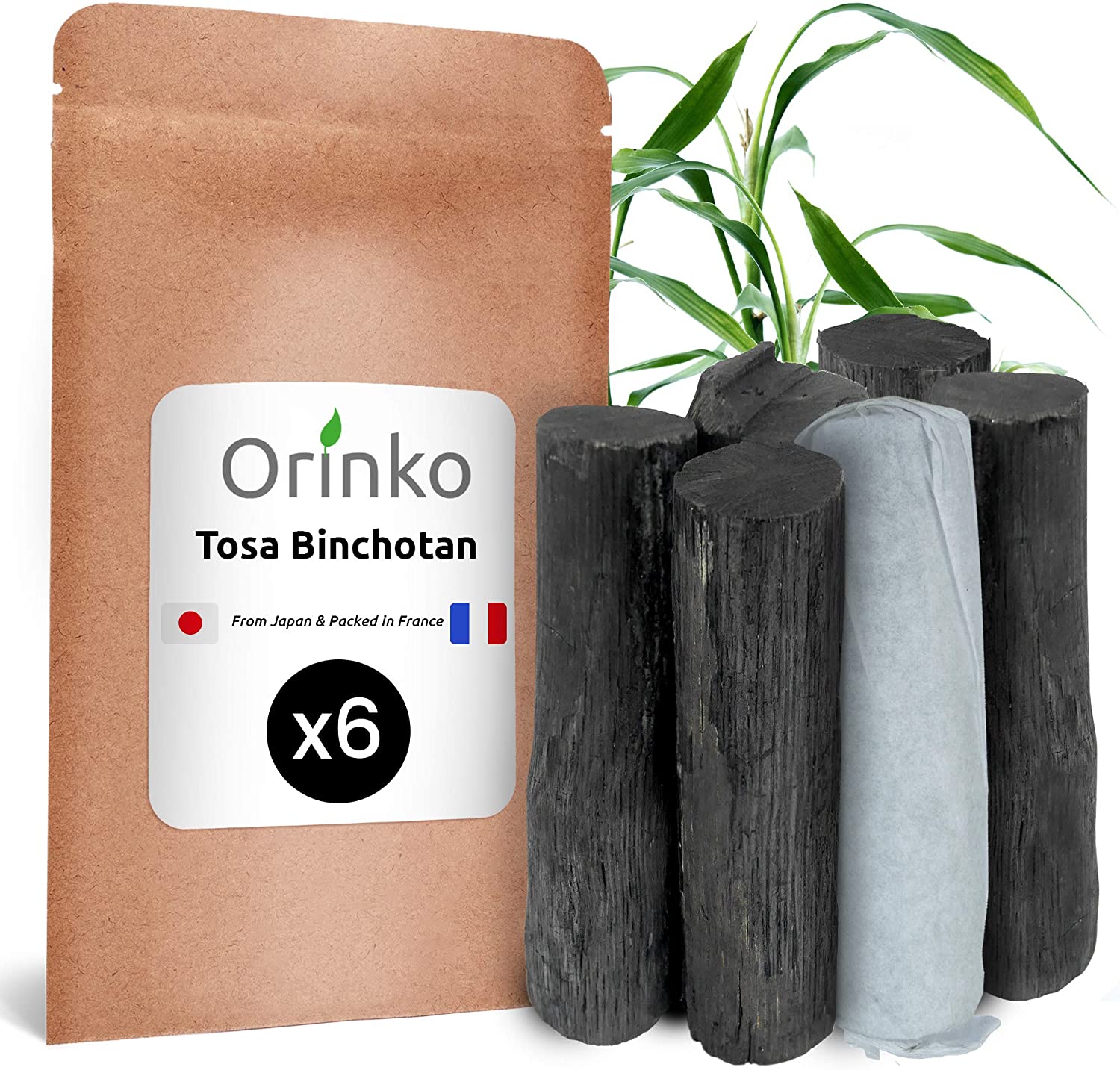 Binchotan Japonais De TOSA X6 - Charbon Actif Binchotan | Greenweez