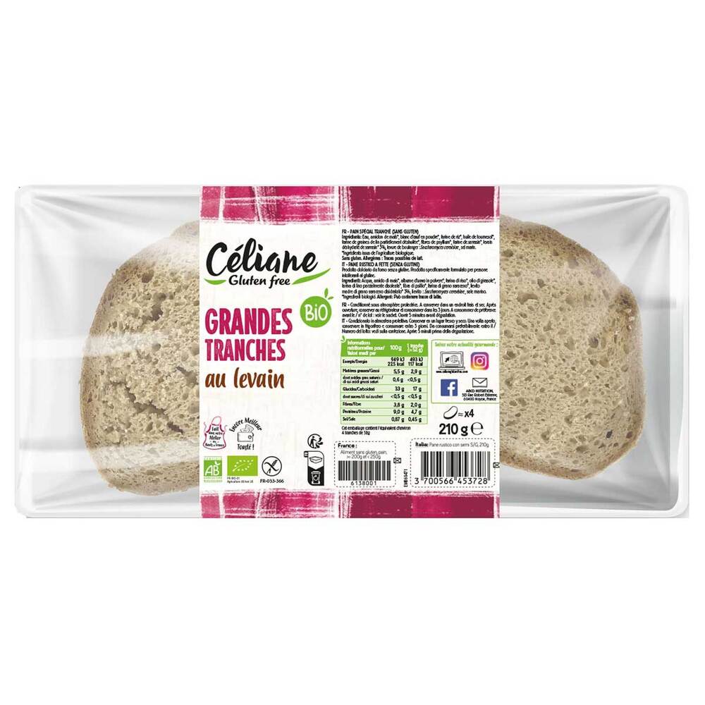 Pain grandes tranches au levain sans gluten x4 210g | Greenweez