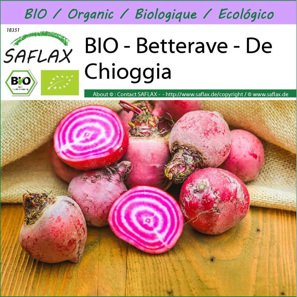 BIO - Betterave - De Chioggia - 70 graines - Beta | Greenweez