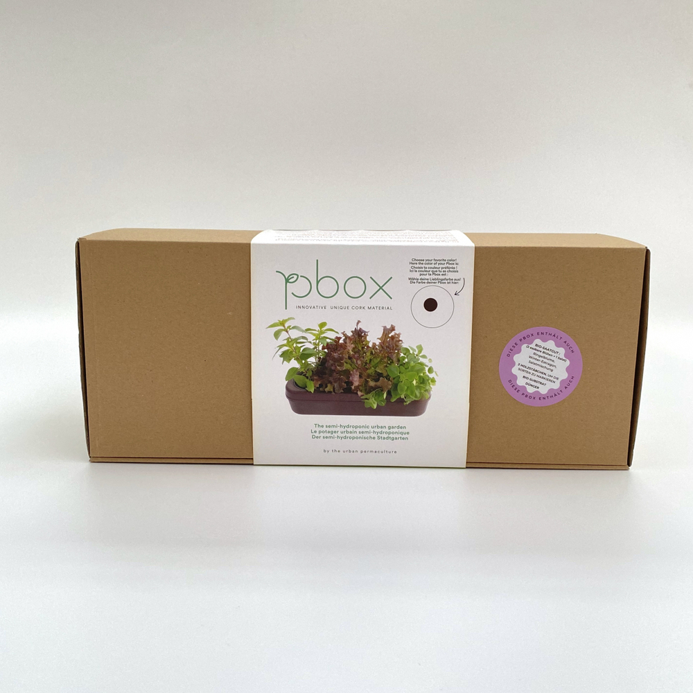 Kit à planter bio potager urbain semi-hydroponique - 3 Basilics | Greenweez