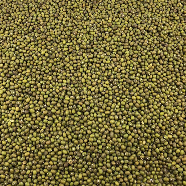 Vracbio Soja Vert Bio en Vrac 1kg | Greenweez
