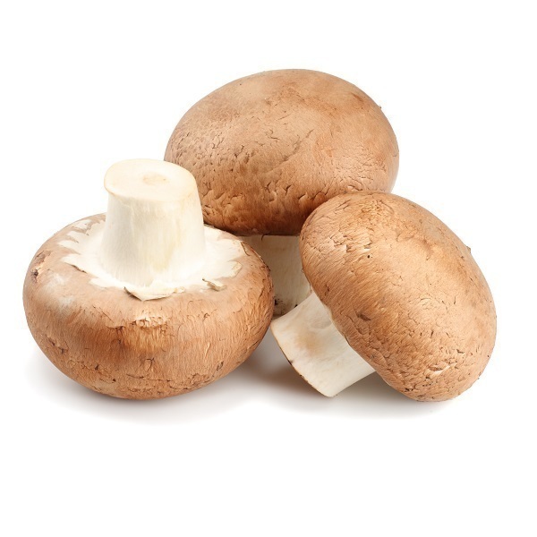 Champignons Bruns bio France 500g | Greenweez