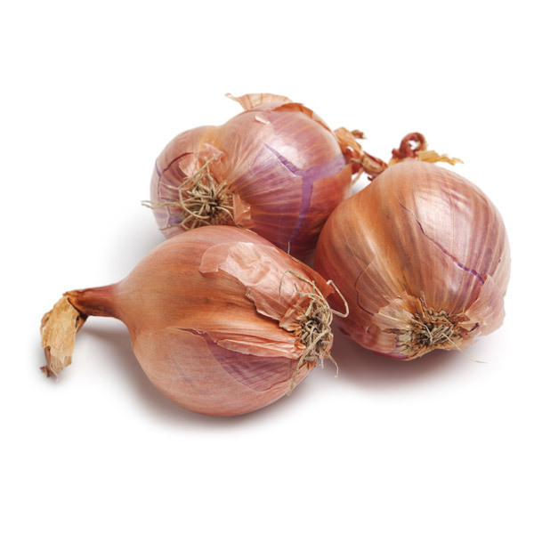 Echalote . France 500g | Greenweez