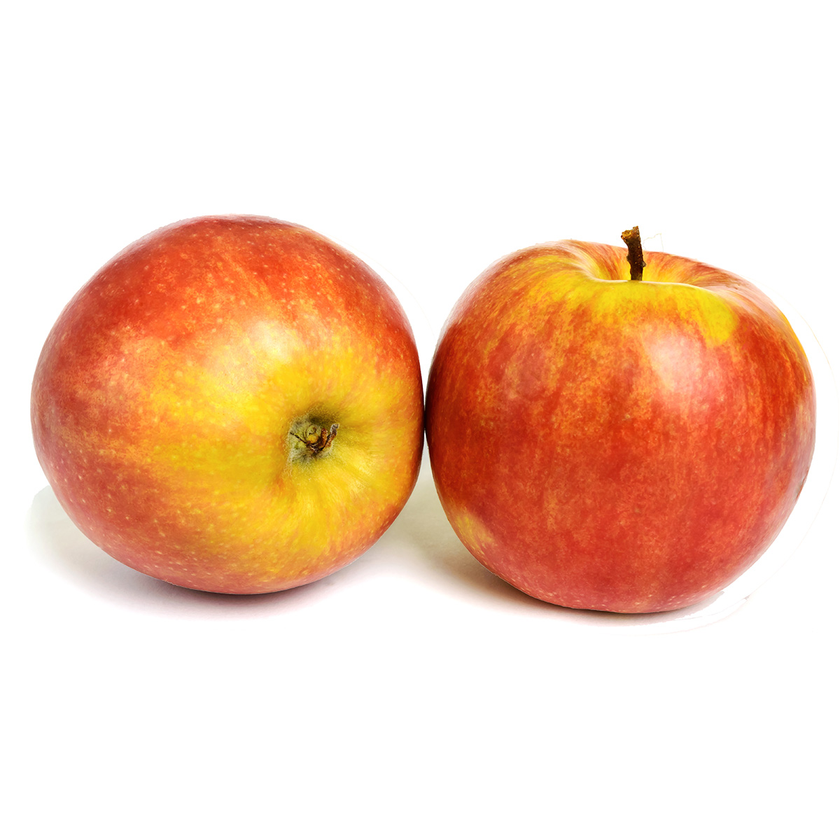 Pomme Elstar France 1kg | Greenweez