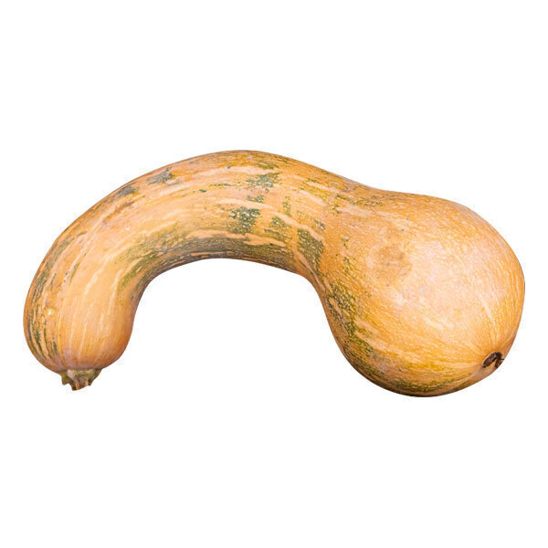 Courge longue de Nice. Ile de France. 1,3kg | Greenweez