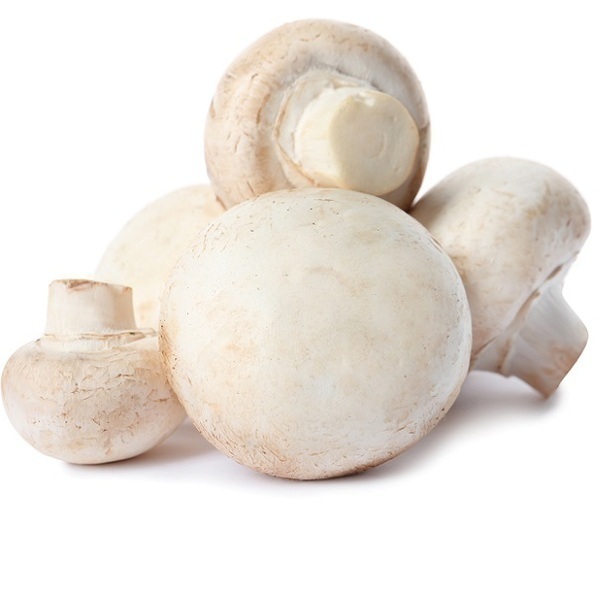 Champignons blanc bio Hollande 500g | Greenweez