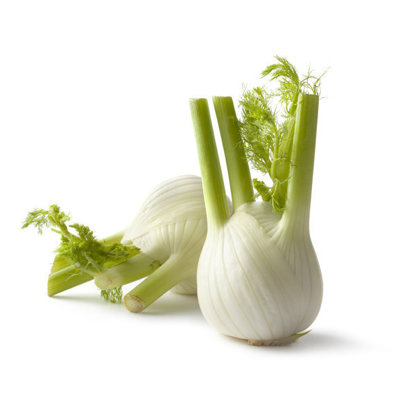Fenouil Italie 500g | Greenweez