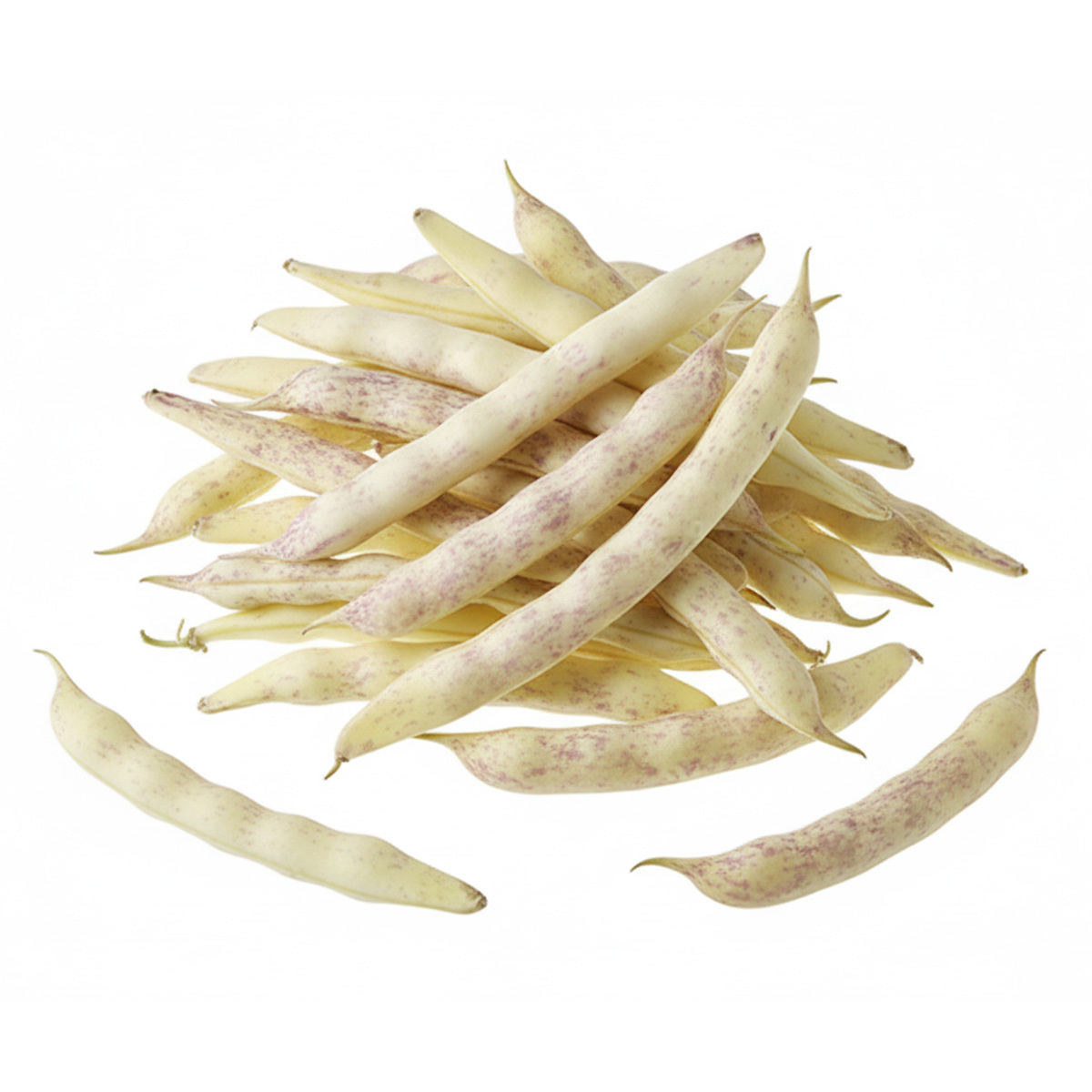 Haricot coco demi sec France 500g | Greenweez