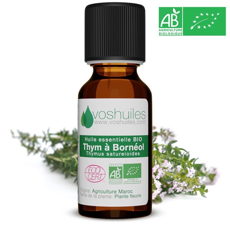 Huile Essentielle BIO de Thym à Bornéol 10ml | Greenweez