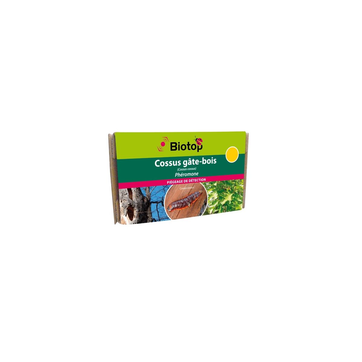 Phéromone Cossus gâte-bois (2 capsules) | Greenweez