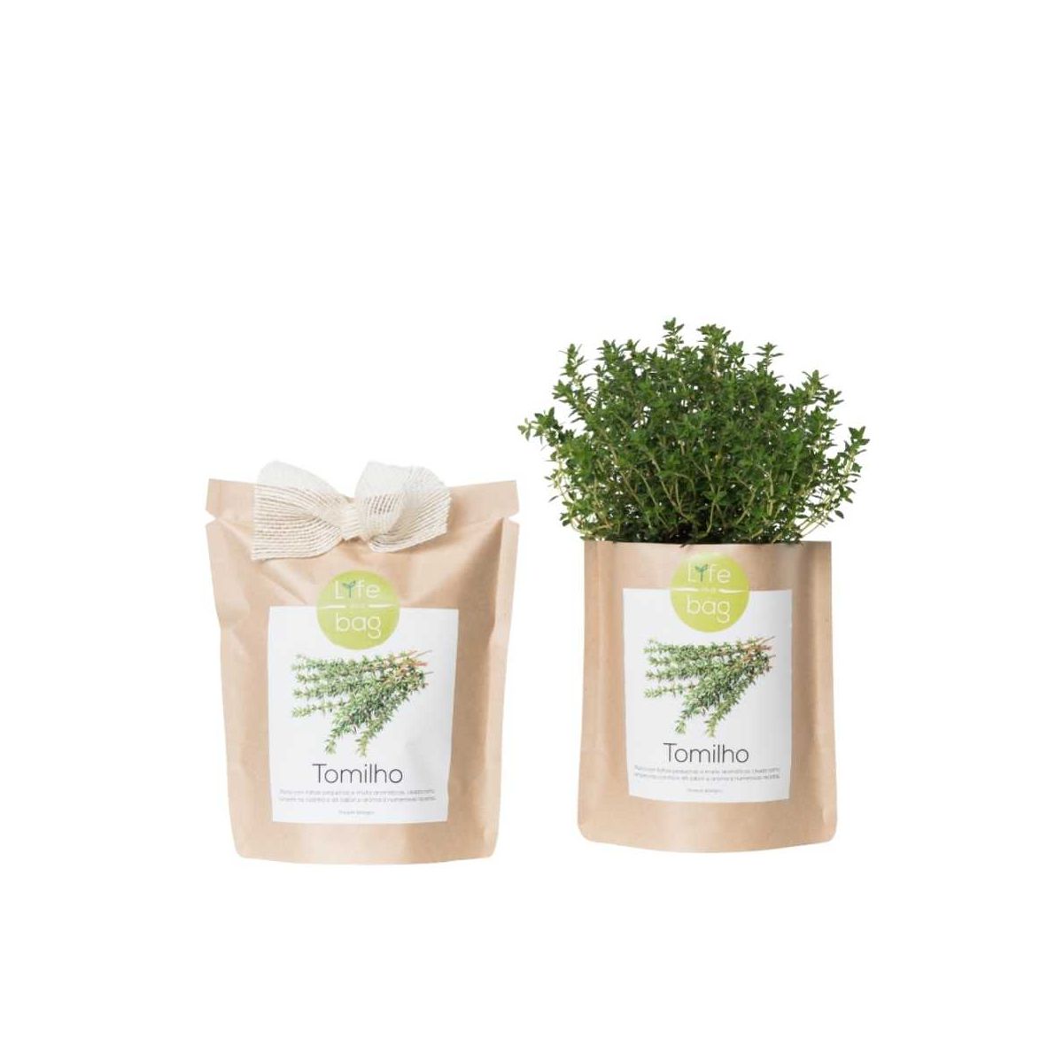 kit bio prêt à pousser thym | Greenweez