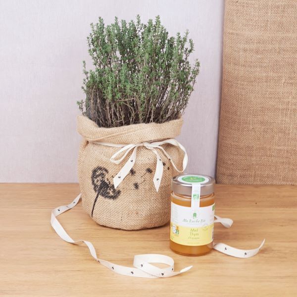 Coffret d'une plante du Thym, et son miel de thym bio | Greenweez