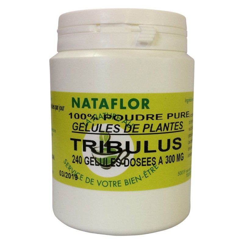 GELULES TRIBULUS 240 gélules dosées à 300mg. | Greenweez