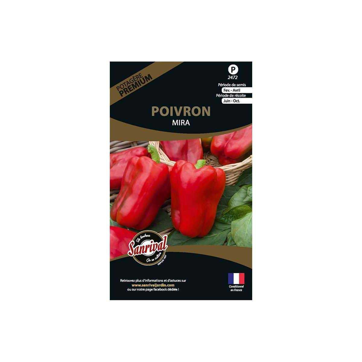 Graines potagères premium poivron Mira rouge allongé | Greenweez