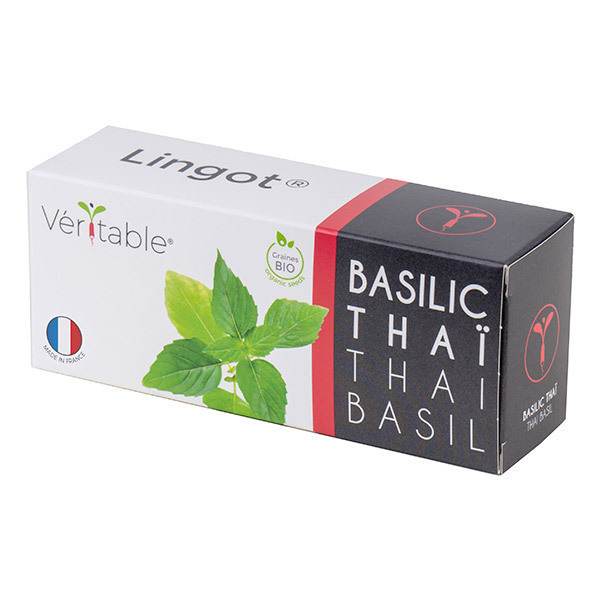 Lingot Basilic Thaï Bio | Greenweez