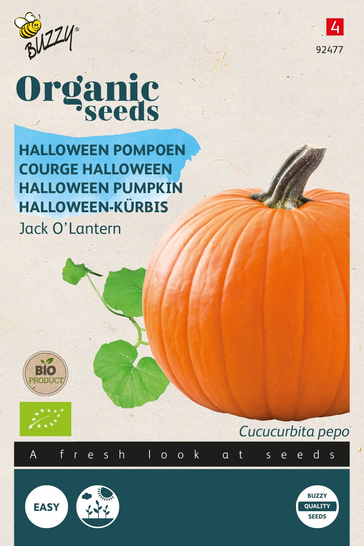 Buzzy Organic Potiron Jack O' Lantern (BIO) - Ca 1 | Greenweez