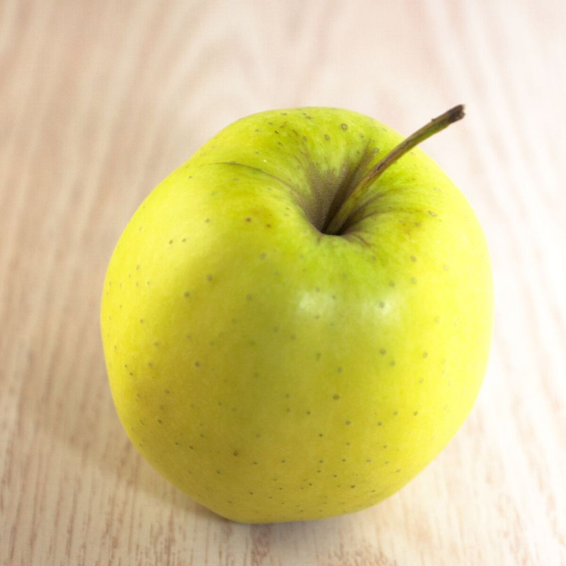Pommier Golden Delicious - Pot de 15L - Palmette oblique - 150/1 ...